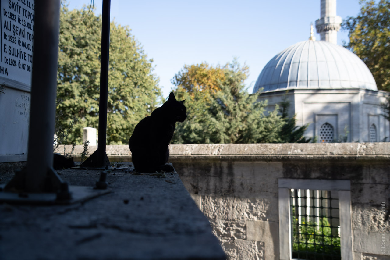 A Shadow Watcher – In Photos dot Org
