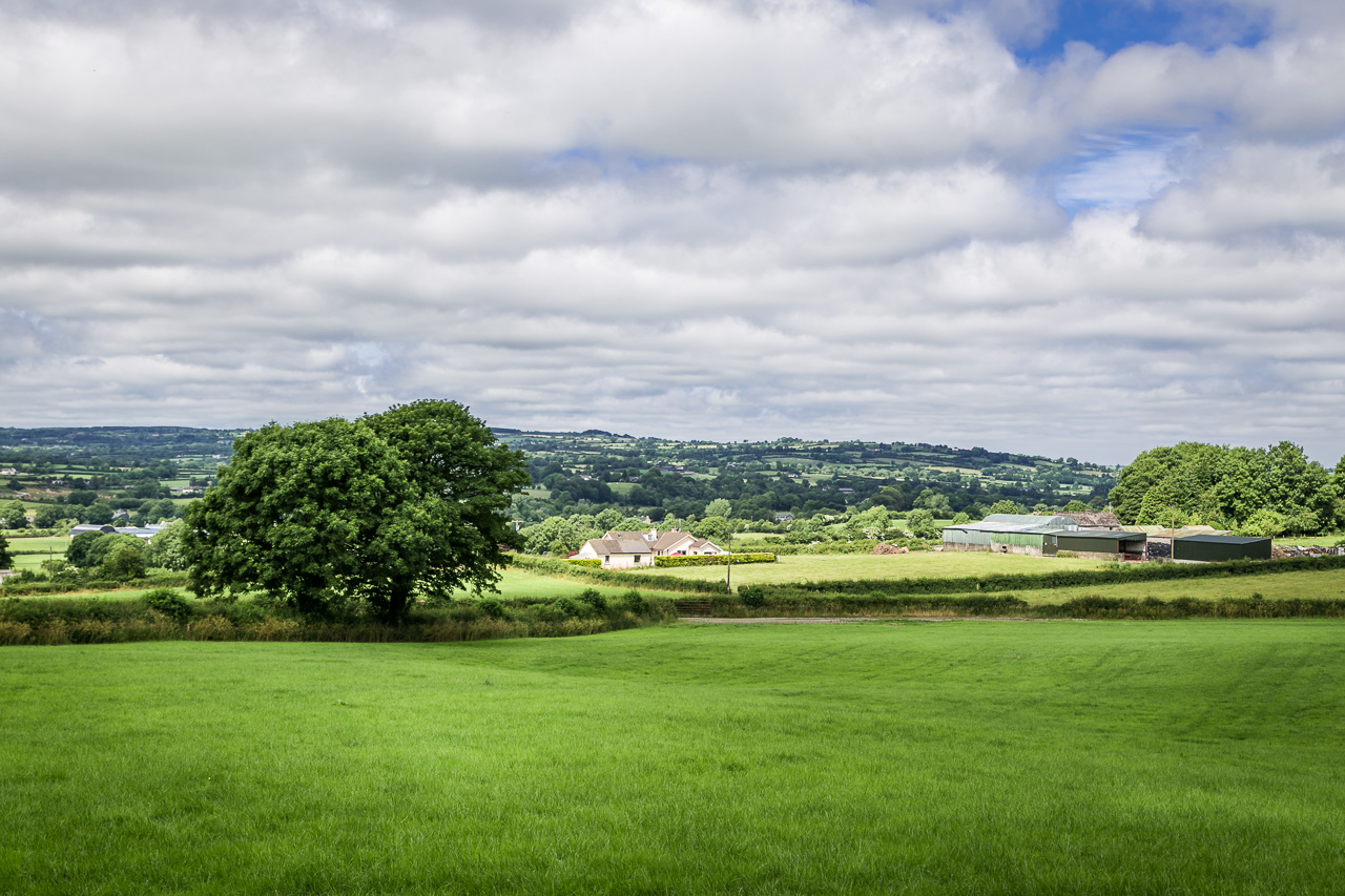 Green Fields of Ireland – In Photos dot Org